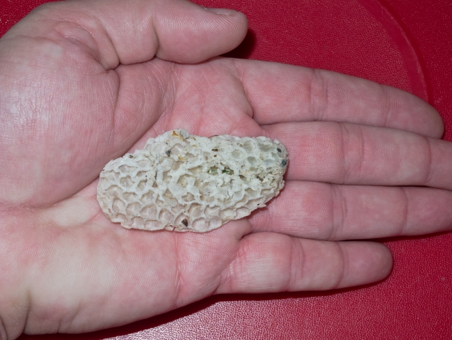 The Great Invade | Jerry-Rigs